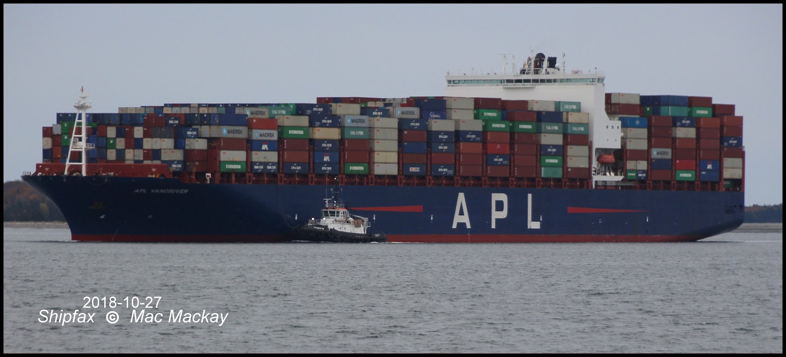 Shipfax: EF Ava- another lost life, APL Vancouver - another fire