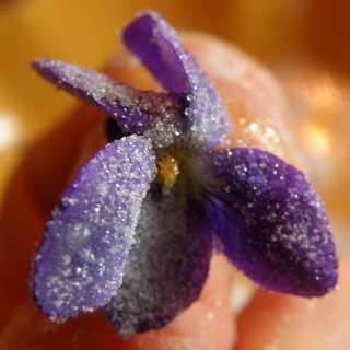 Seasonal Eating: Candied Violets