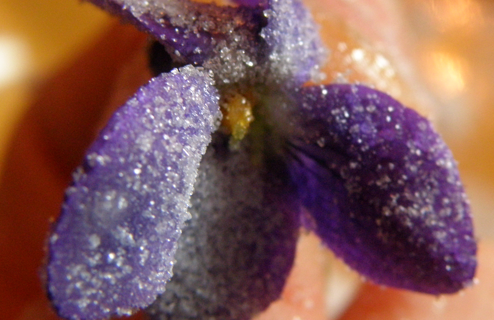 Seasonal Eating: Candied Violets