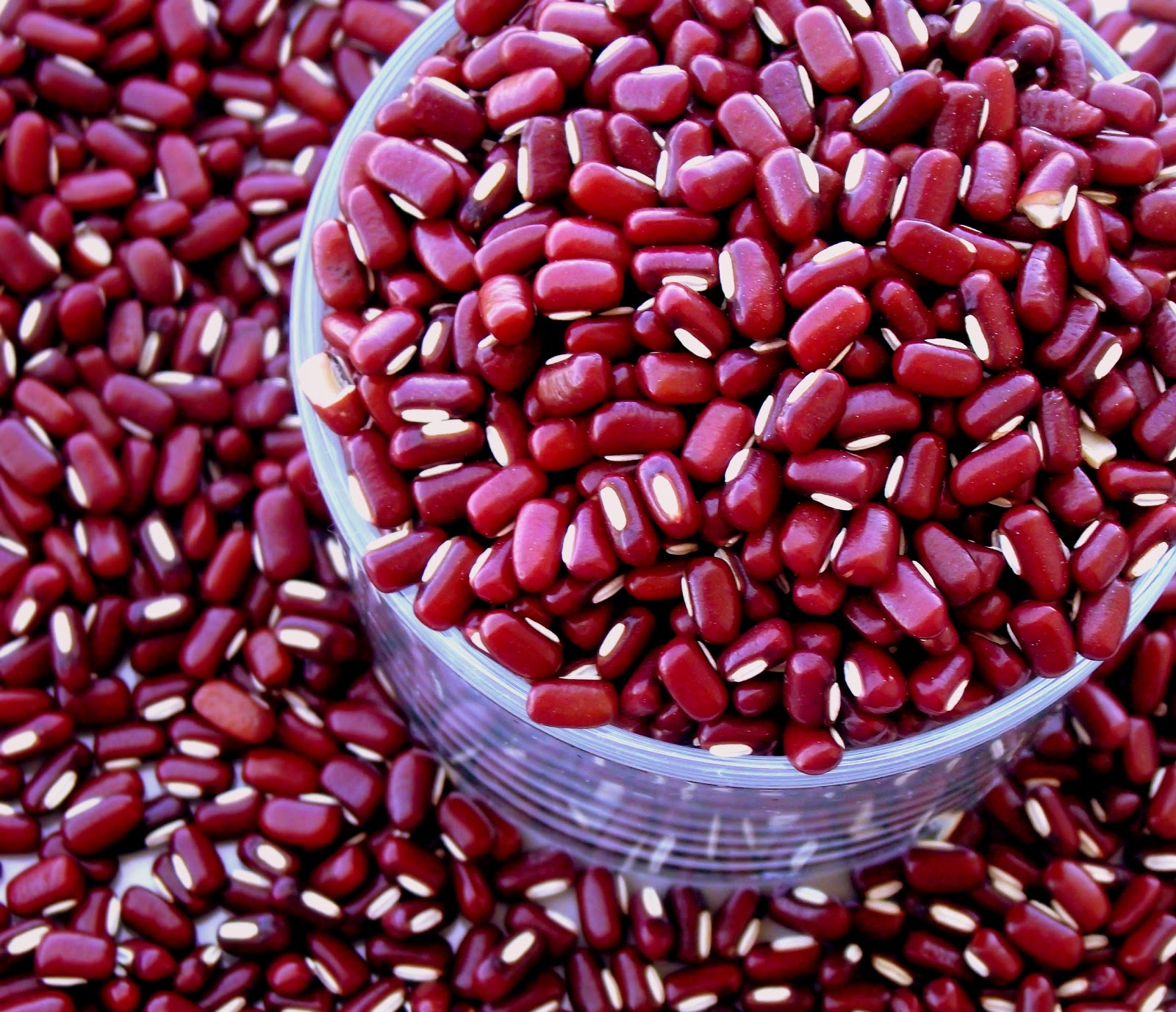 PORTFÓLIO NUTRICIONAL: 11. Leguminosas