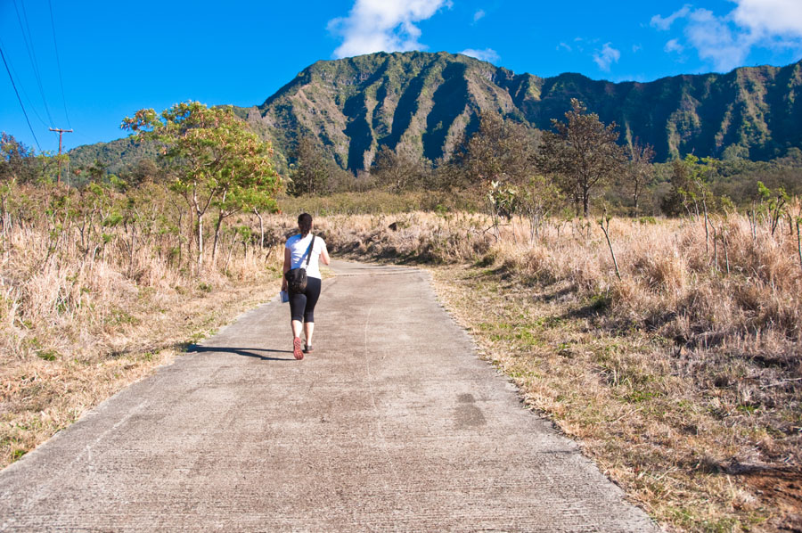 HikeOneHikeAll Hawaii: Mt. Kaala (Waianae-Kaala)