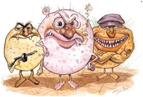 CUL2115 - Food Nutrition: Chapter 2 : Microbiological Hazards