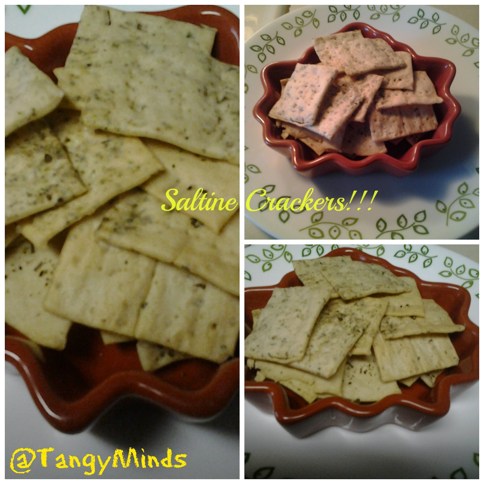 Tangy Minds !!!: Saltine Crackers/ Homemade Soda Crackers!!!
