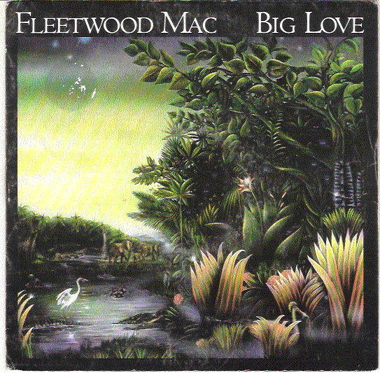 Sarah Blogs Music Monday Fleetwood Mac Big Love