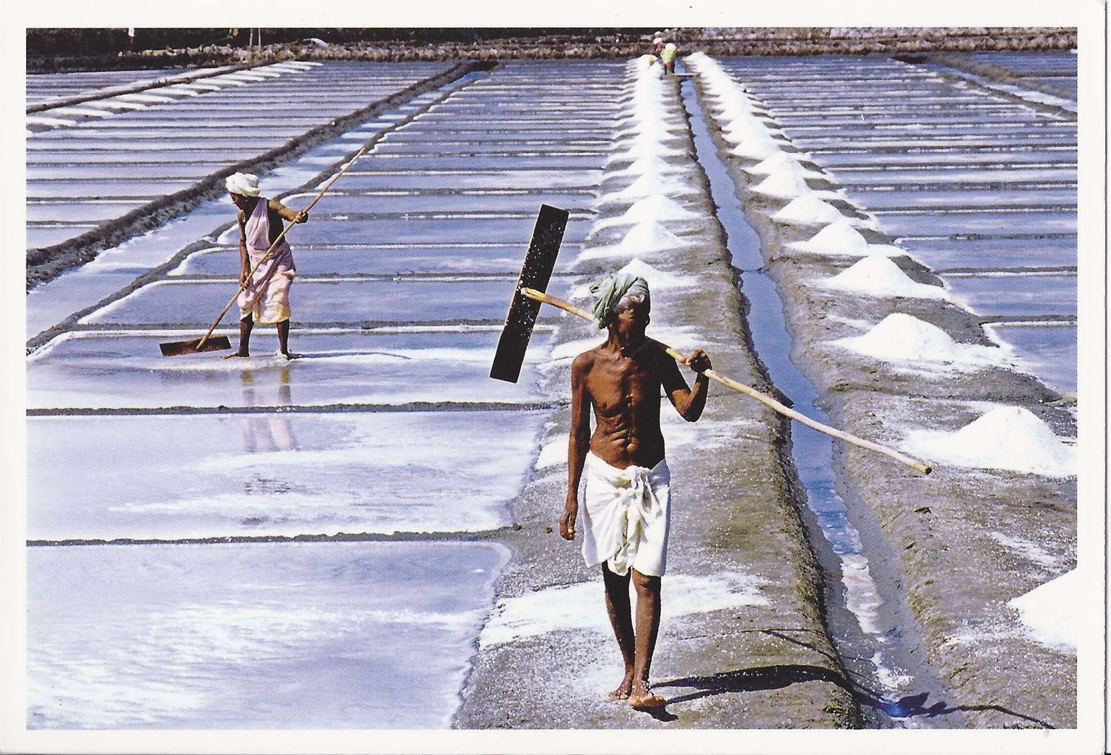 A Journey of Postcards: Salt Pans, Tamilnadu, India