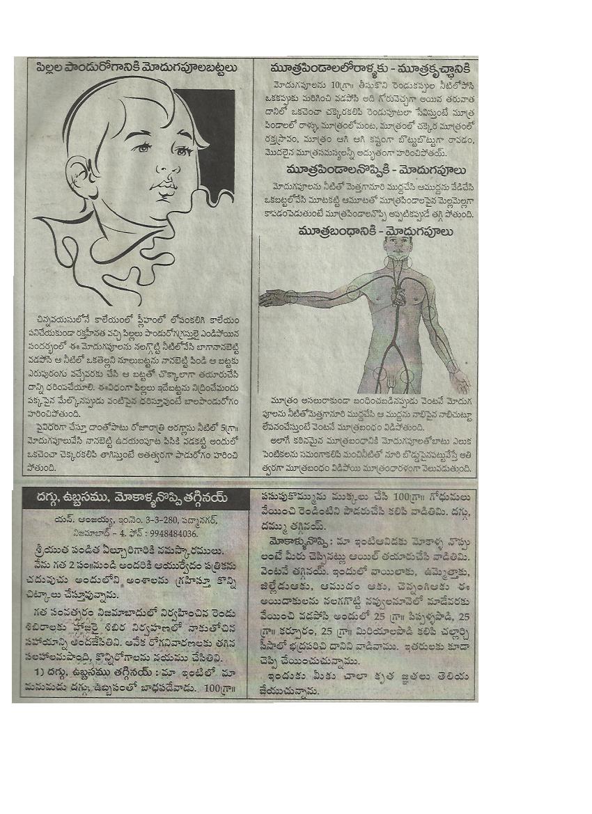 AYURVEDAM - ఆయుర్వేదం: MODUGA PUVVULU - AYURVEDAM