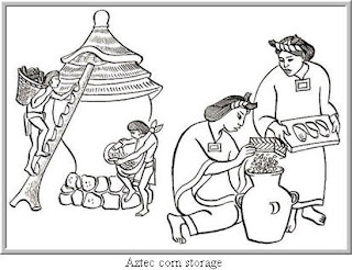 S T R A V A G A N Z A: AGRICULTURE OF PRE-COLUMBIAN AMERICA