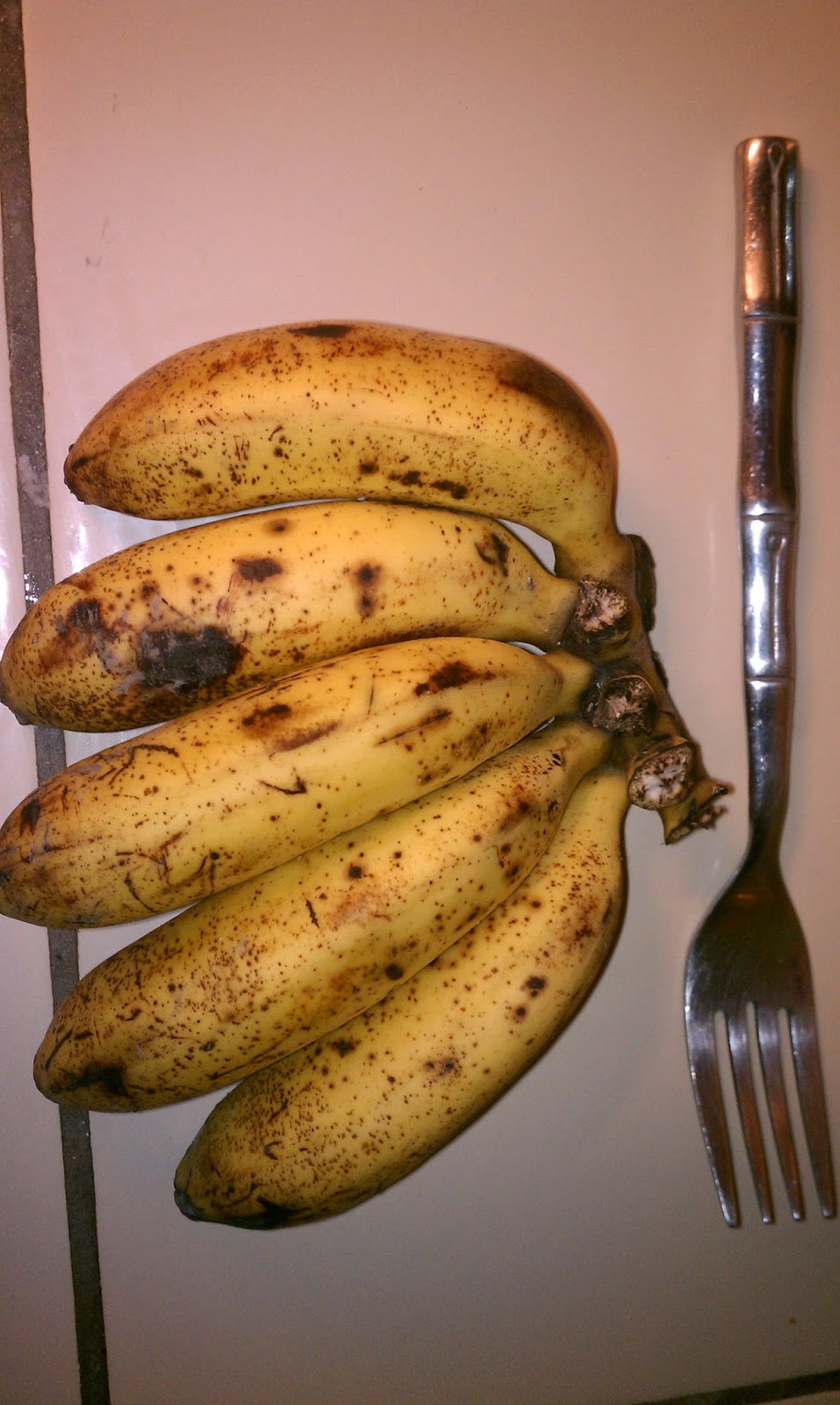 commuNICA: January 2015