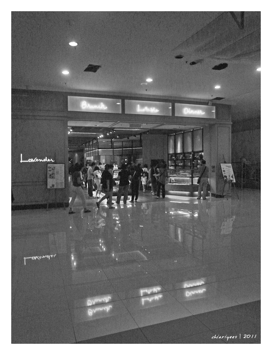 Lavender -L. table, 1 Utama