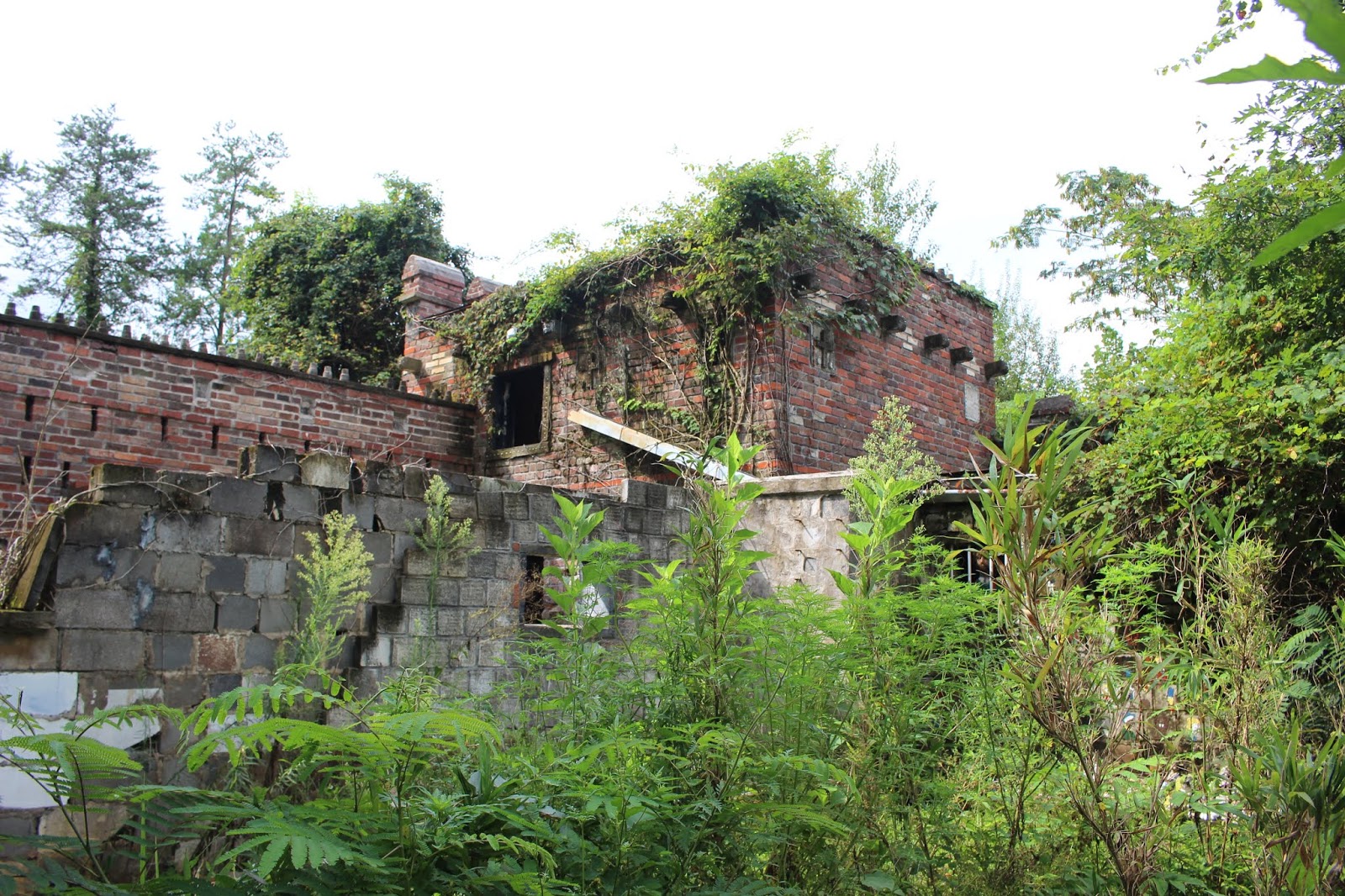 Cumberland Gal: Greenback Castle 2018