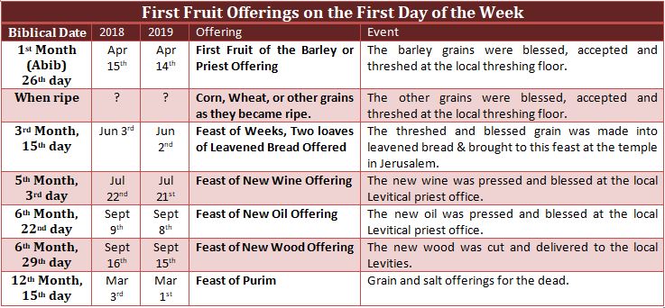 Our Father's Kingdom of America: First Fruit Offerings for the First ...