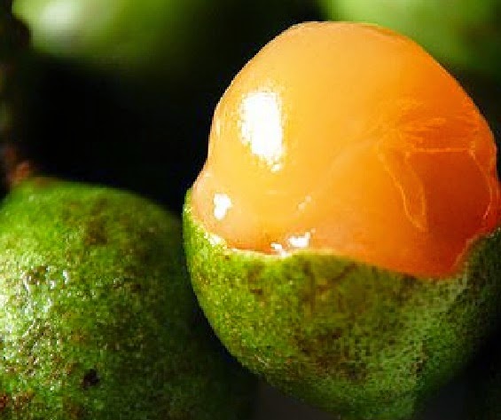 Receta de Helado de Mamon | Recetas 100% Nicaragüenses