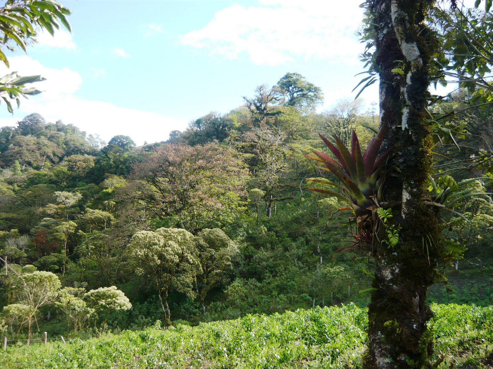 Centro Ecoturístico Miraflor-Estelí: Reserva Natural Miraflor ...