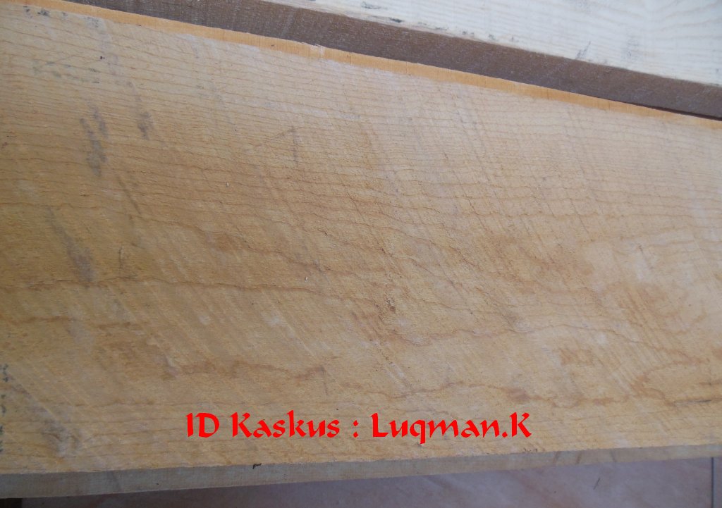 Eksport Import Wood: Jual kayu Hard Maple