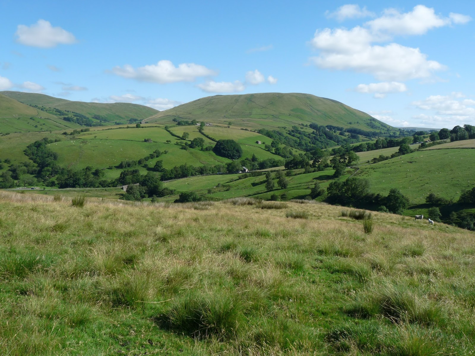 what it is, what it was, what it will be: Uldale Force Wild Swim
