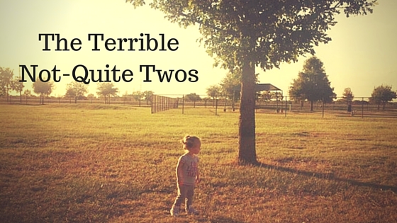 The Life of a Corporate Mom : Dealing with the terrible not-quite twos...