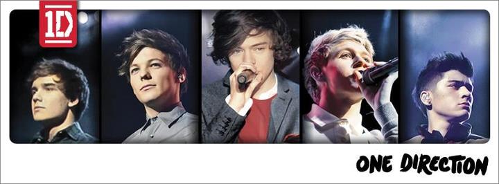 Only One Direction: The Boys