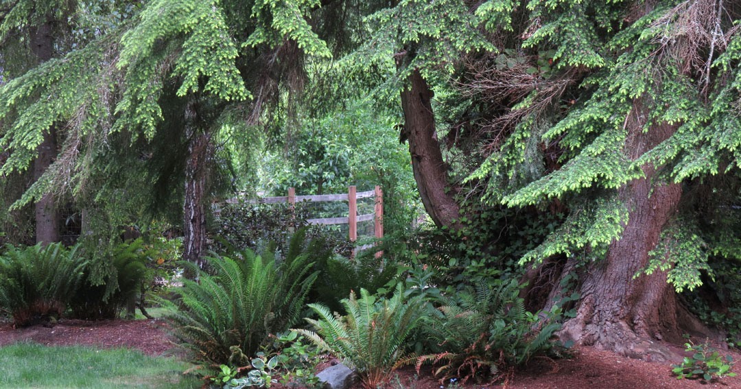 Contemplative Photography: A territorial view