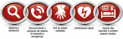 Fisioterapia Cardiovascular: Reanimación Cardiocerebropulmonar (RCP)