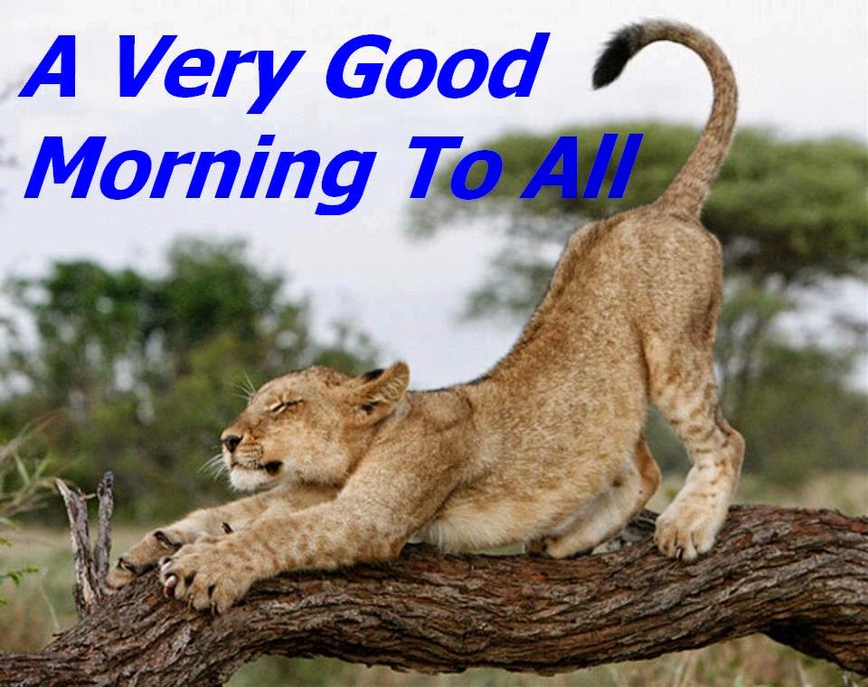 Latest Good Morning images For Whatsapp