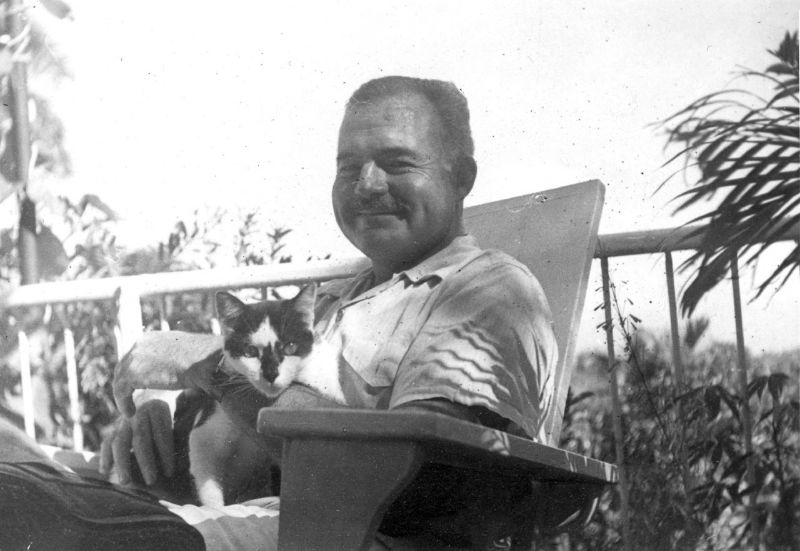 26 Interesting Vintage Photos of Ernest Hemingway With His Beloved Cats ...