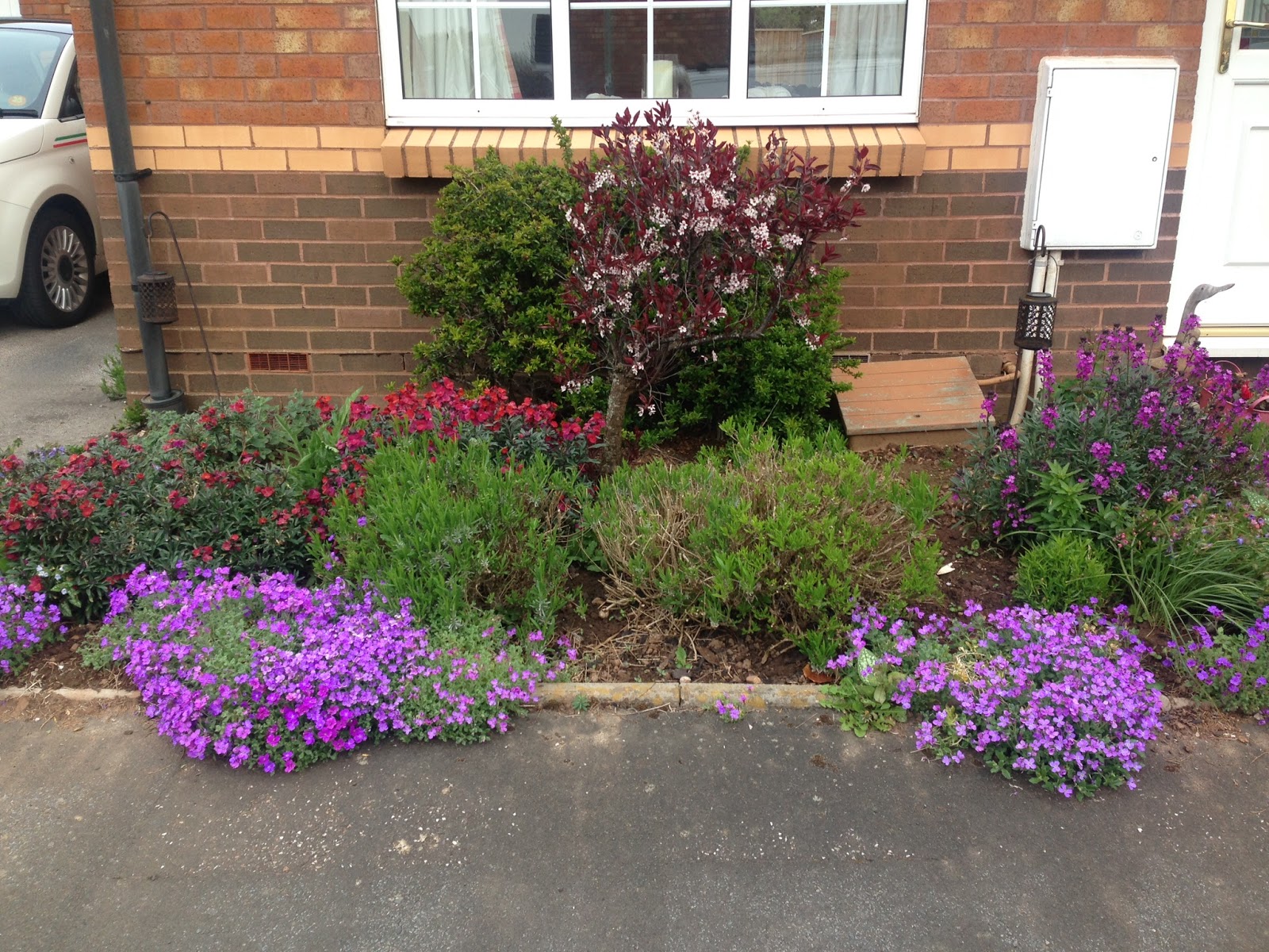 An Ordinary Devonshire Life: Spring front garden