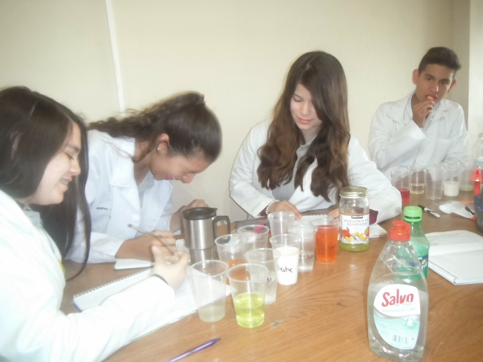 Información para Padres de familia Instituto ICADES: LABORATORIO 3ERO ...