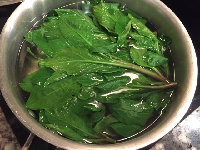 The Foraged Foodie: How I find and safely eat pokeweed shoots in early ...
