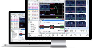 TraderMeranti: TERMINAL TRADING