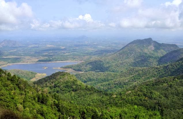 Western Ghat ~ FIORA AND FAUNA OF WESTERN GHATS