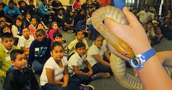 San Diego Unified School District Newsfeed: Encanto Elementary ...