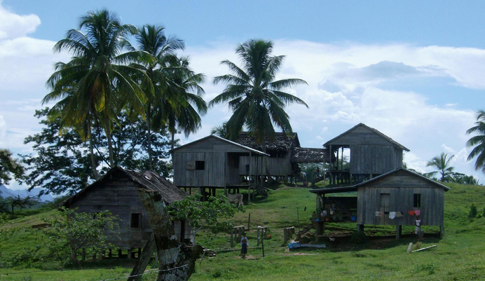 Brassavola Digbyana: Los Tawahkas