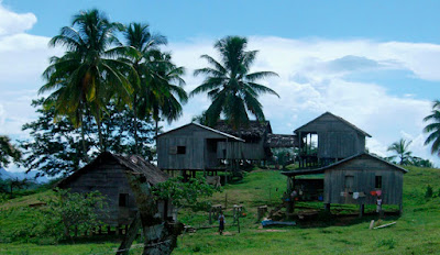 Brassavola Digbyana: Los Tawahkas