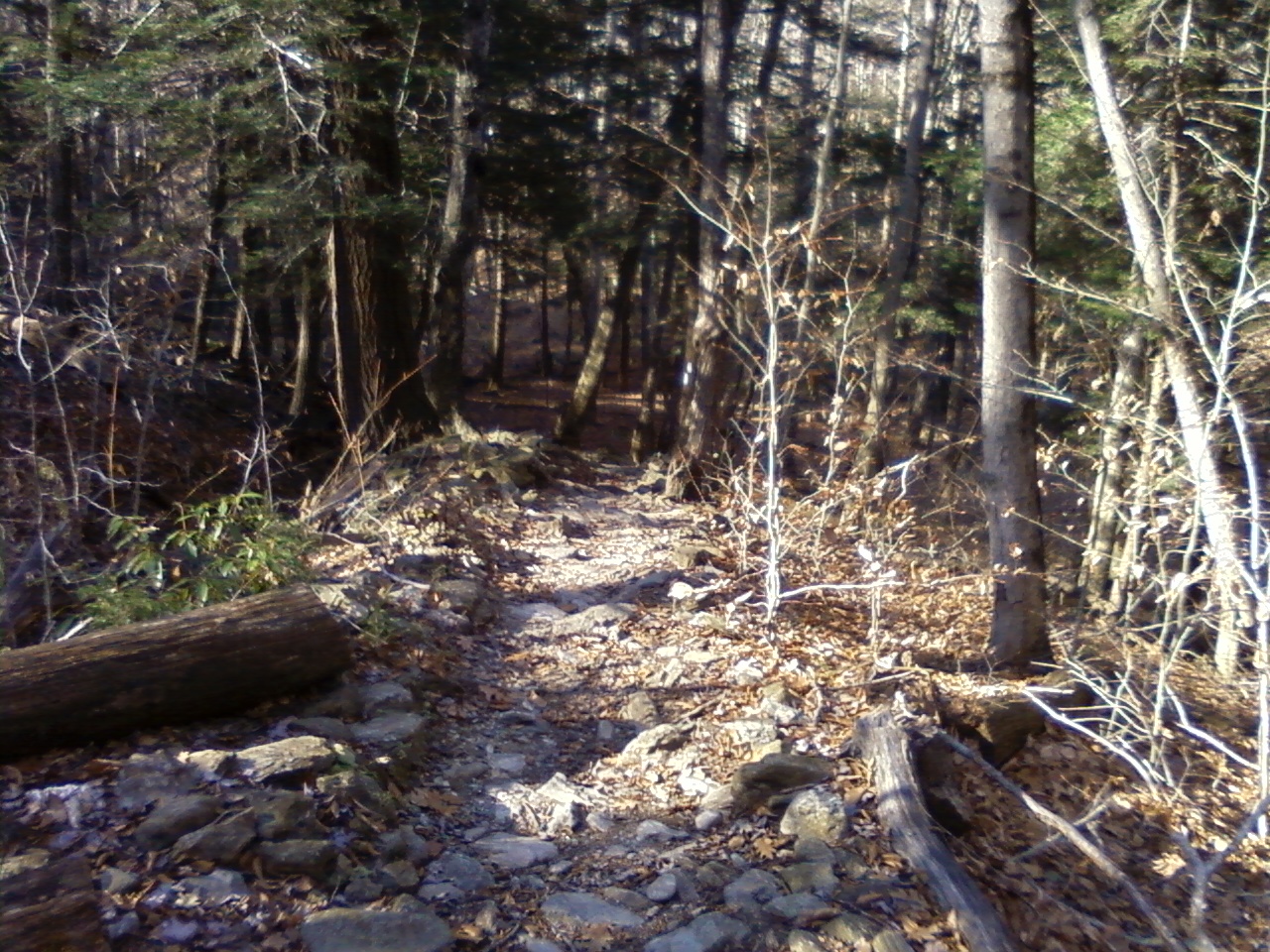 Just a few of my favorite short, overlooked hiking/nature trails in the ...