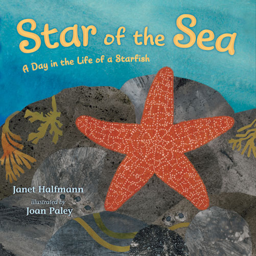 Katie's Nesting Spot: Star of the Sea: A Day in the Life of a Starfish ...