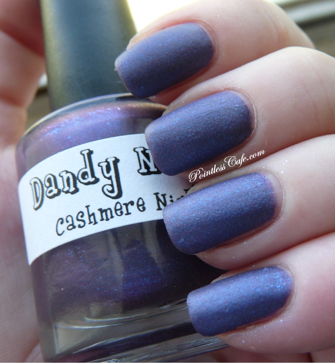 Dandy Nails Winter Collection 2012 | Pointless Cafe