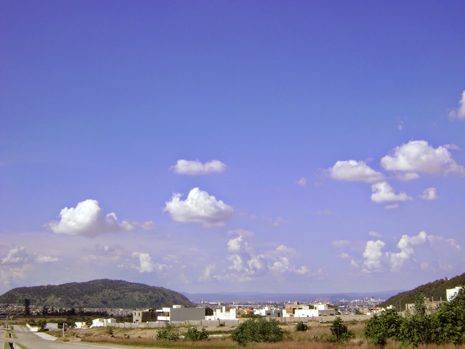 sancarlosfortin: los robles frente al cerro del colli en el municipio ...