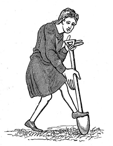 Reccomend me some serf - Effects and Processors - Harmony Central