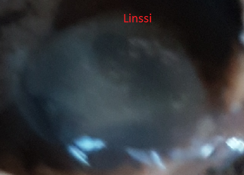 Varppeen koulun bilsan ja mantsan blogi: Silmänpreparointi, Jokke ja Jupe