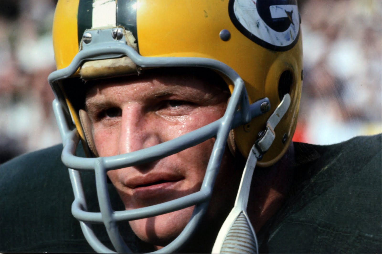 PACKERVILLE, U.S.A.: The Legend — Ray Nitschke