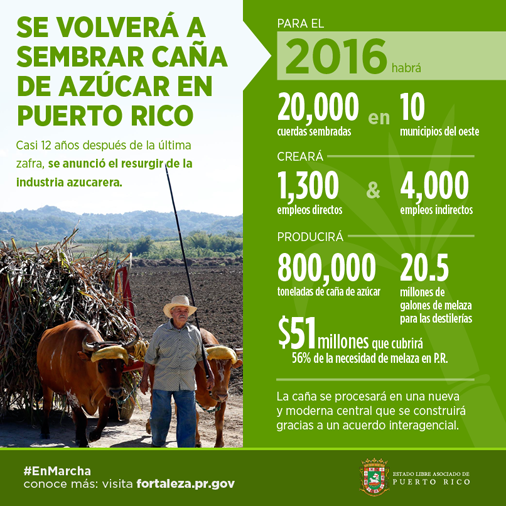 Diálogos de la Comunicación: Renace la caña en Puerto Rico
