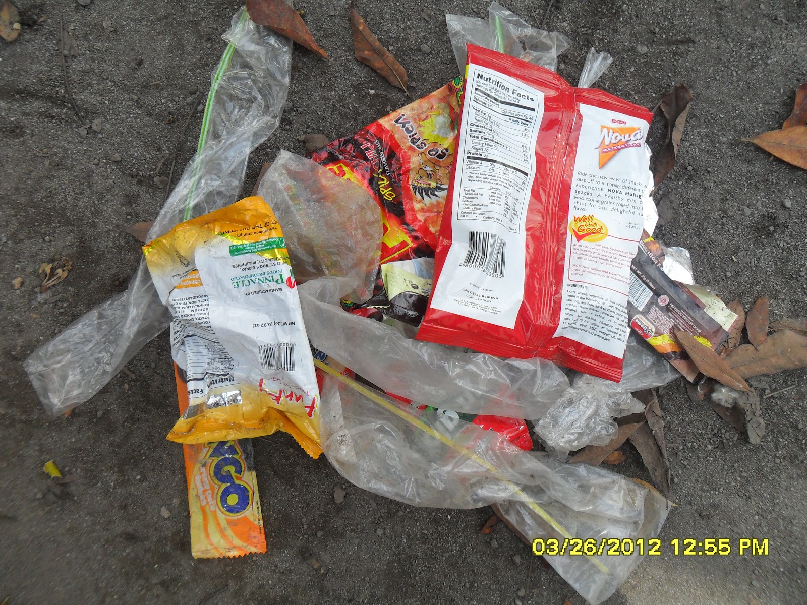 SE 204 ENVIRONMENTAL BLOG OF PAYONGAYONG: Making Floor Wax Out of Trash ...