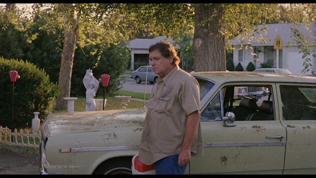 Microwave Massacre (Arrow Video) Blu-ray Review + Screenshots