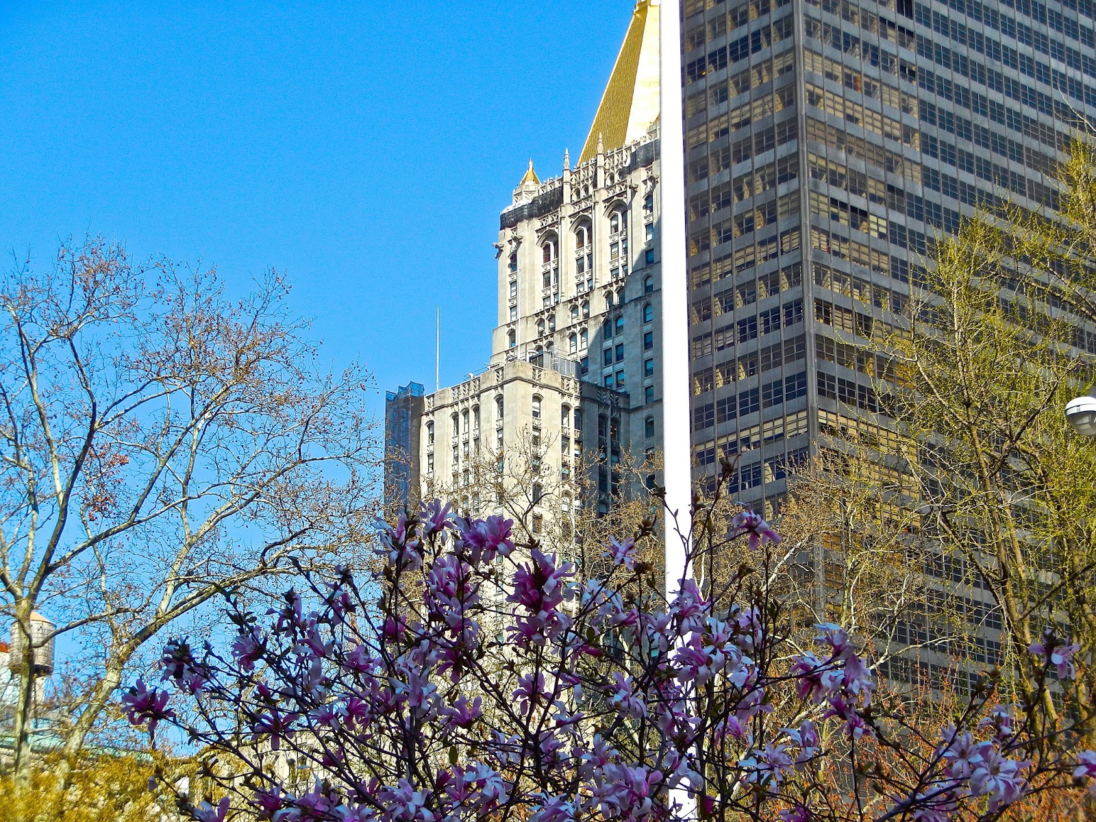 DriveByCuriosity: New York City: Manhattan In Spring