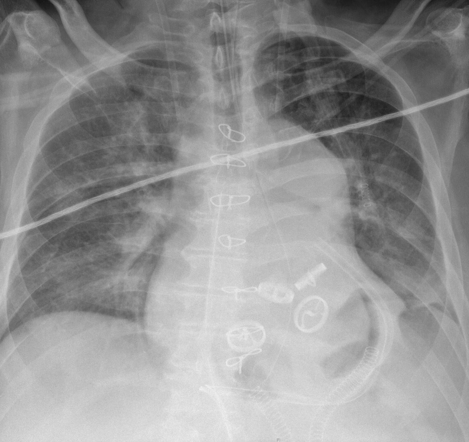 icupearls.org Archive