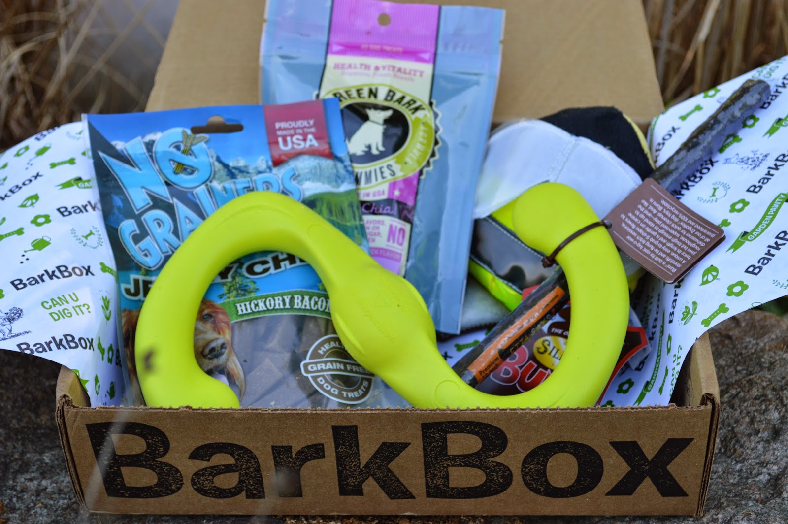My Rotten Dogs: May 2015 BarkBox Review