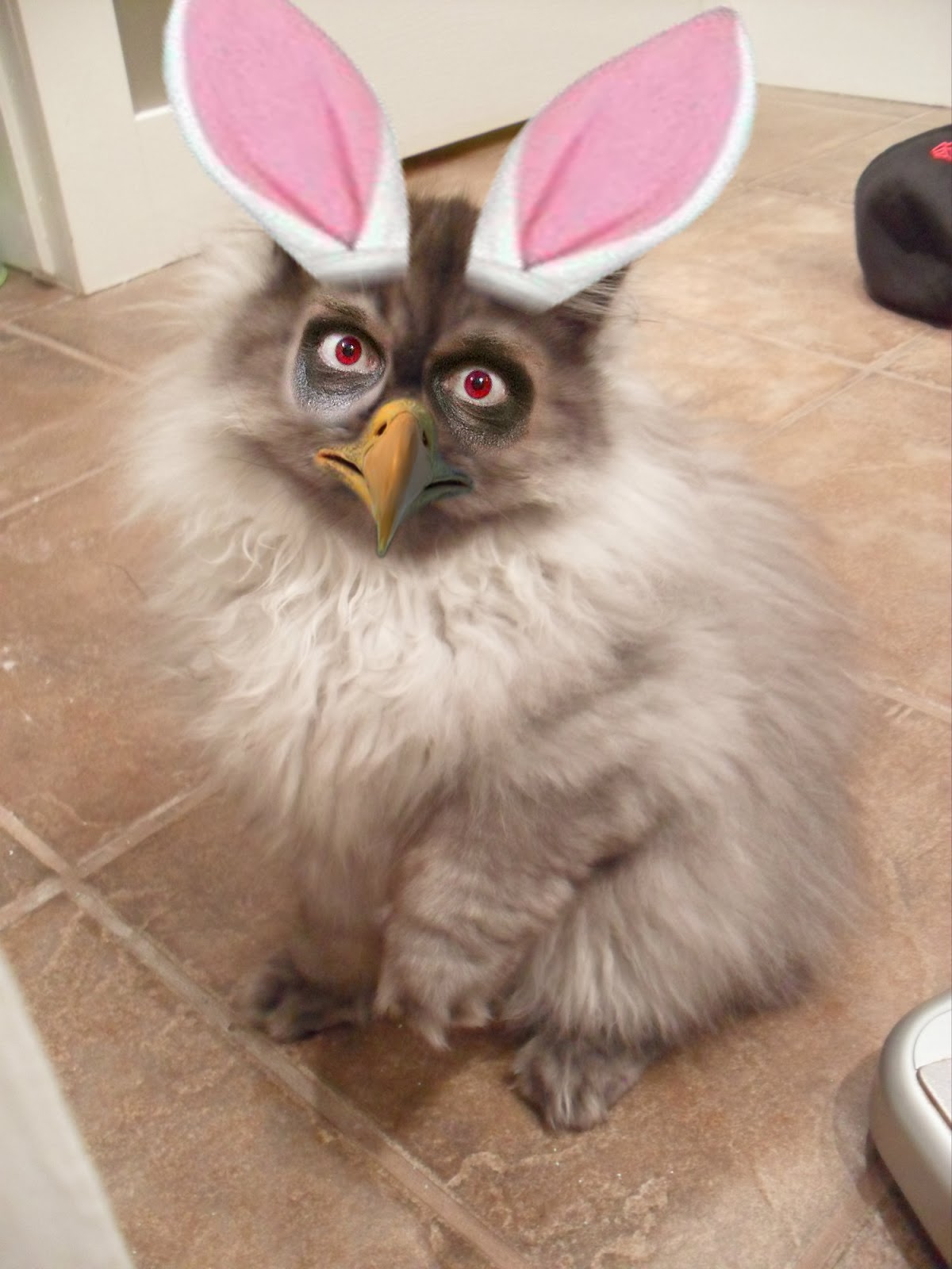 Core French with Mme Batchelor: Les animaux mélangés