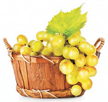 Las uvas son un potente antioxidante | AGRONOMIA
