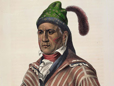 Heretic, Rebel, a Thing to Flout: Horseshoe Bend—Andy Jackson’s Other ...