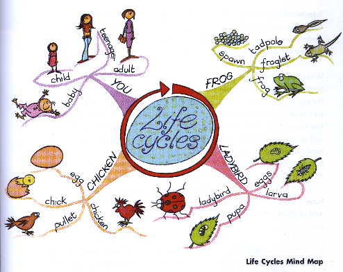The Lancashire Beauty: Back To School: Revision/Study Tips And Techniques!